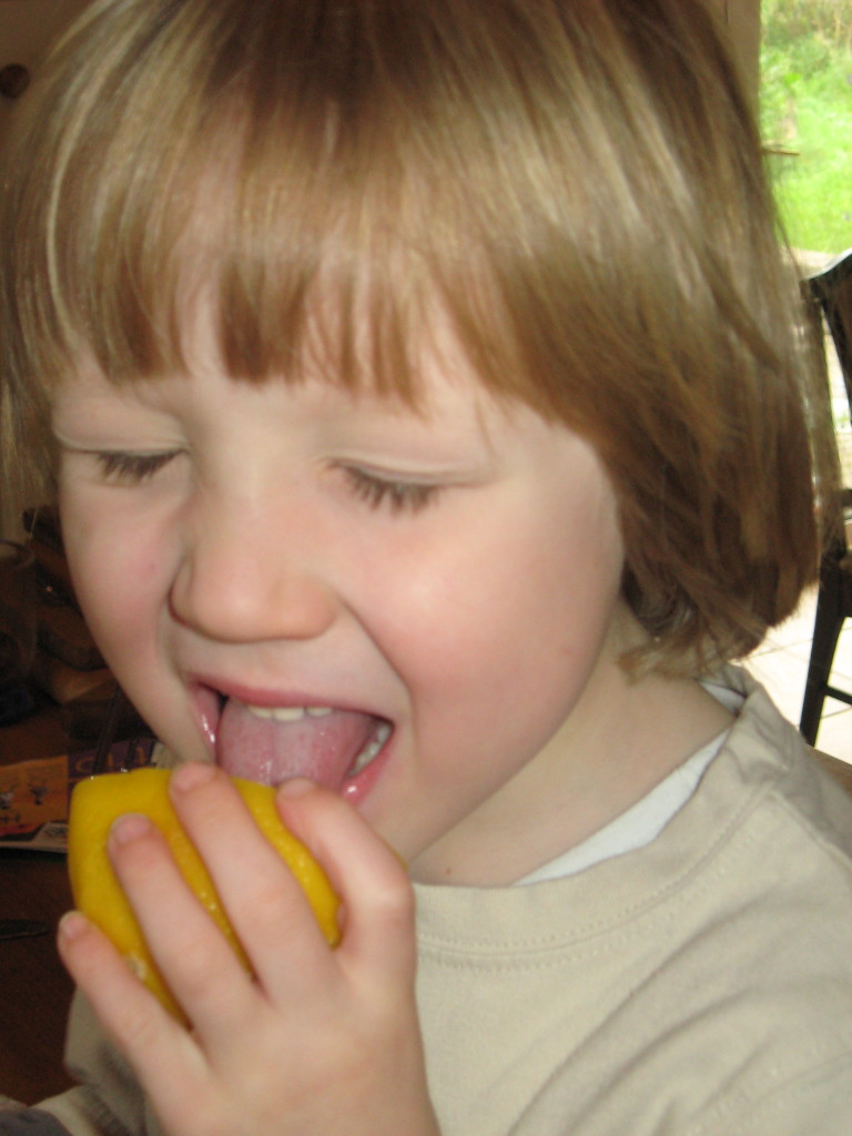 Culann lemon side – Dr. How's Science Wows