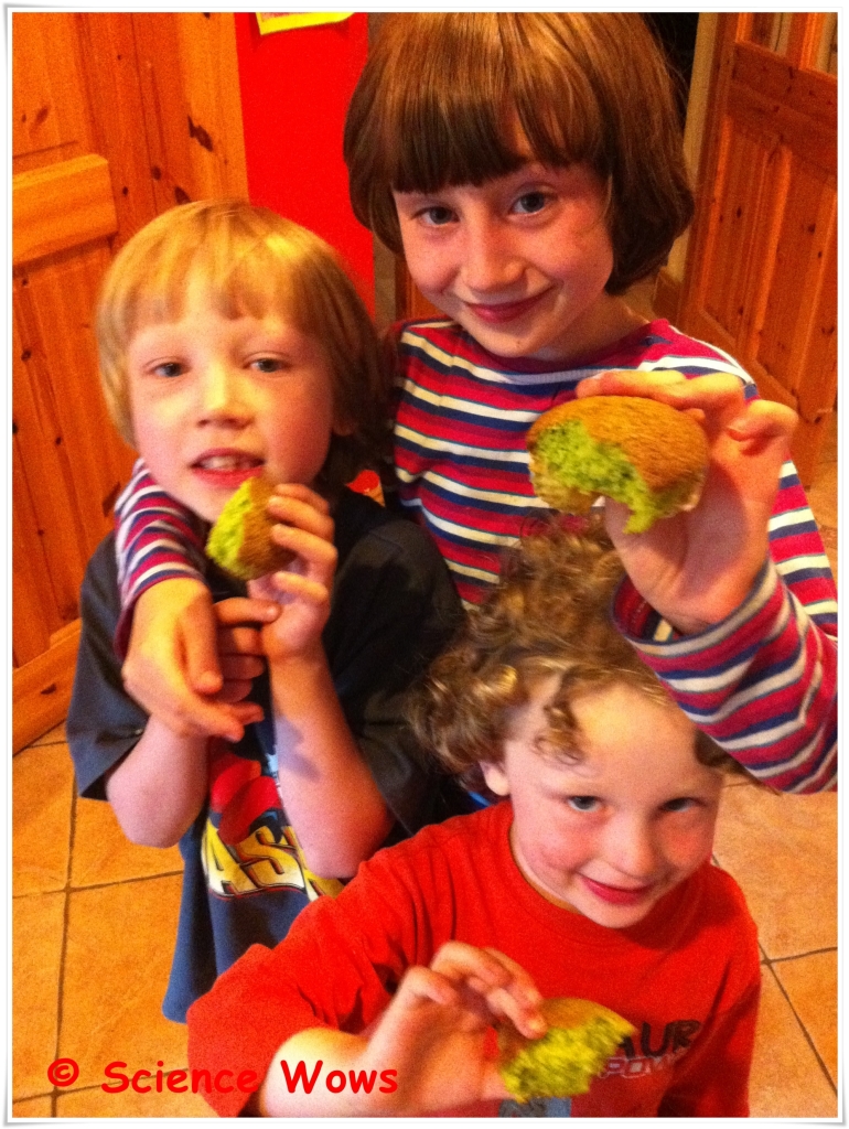 Vegetables in baking: Part Three – proof in the pudding! – Dr. How's ...