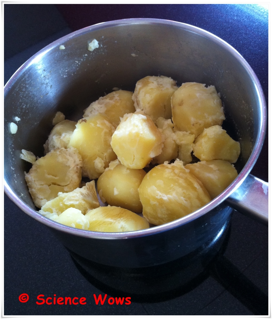 Vegetables in baking: Part Three – proof in the pudding! – Dr. How's ...