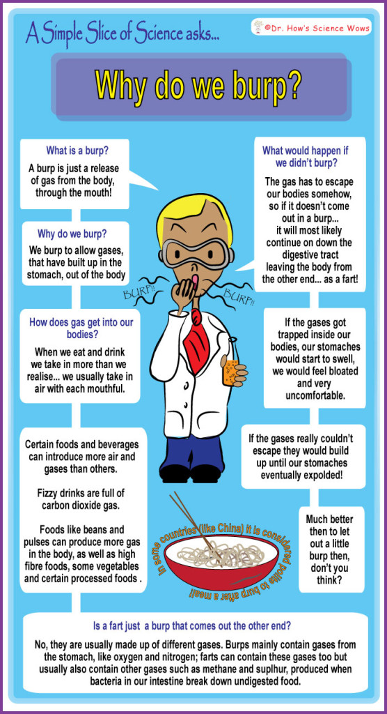 A Simple Slice of Science – Why do we burp? – Dr. How's Science Wows