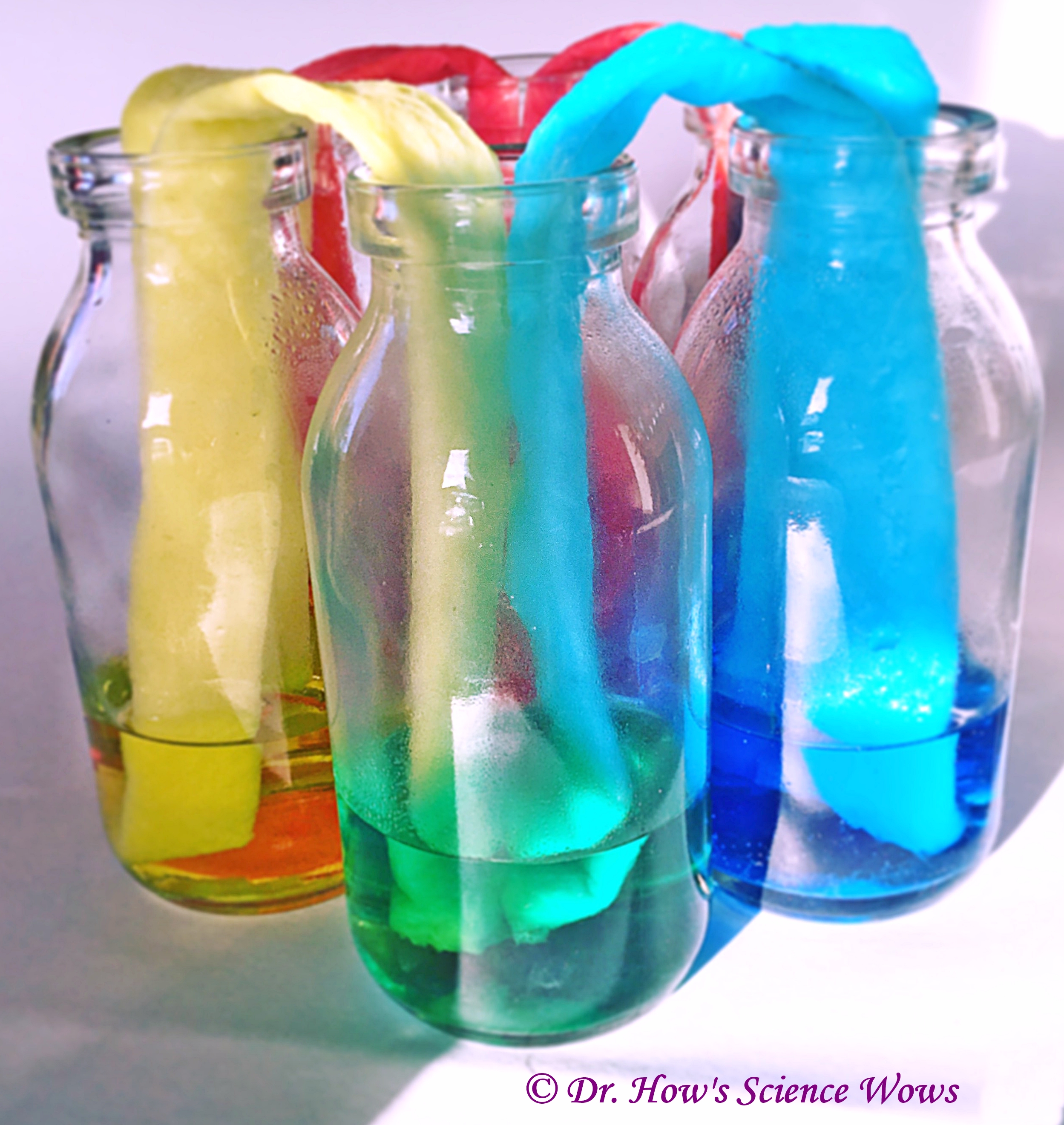 walking-water-3 – Dr. How's Science Wows