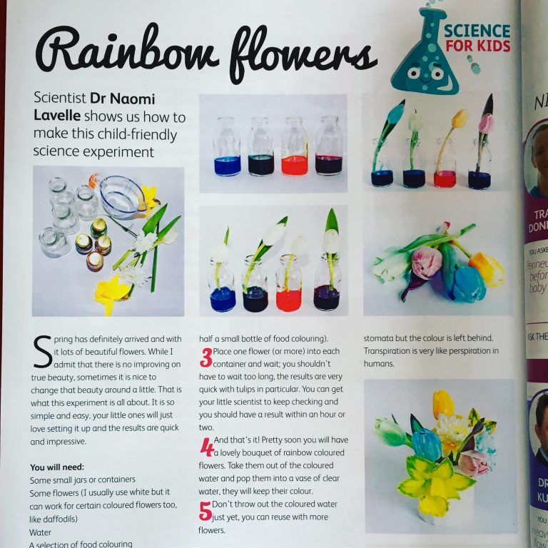 The science of elasticity, energy and rubber – Dr. How's Science Wows